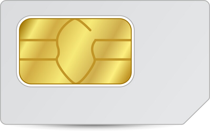 Set of three types sim card designs each Vector Image