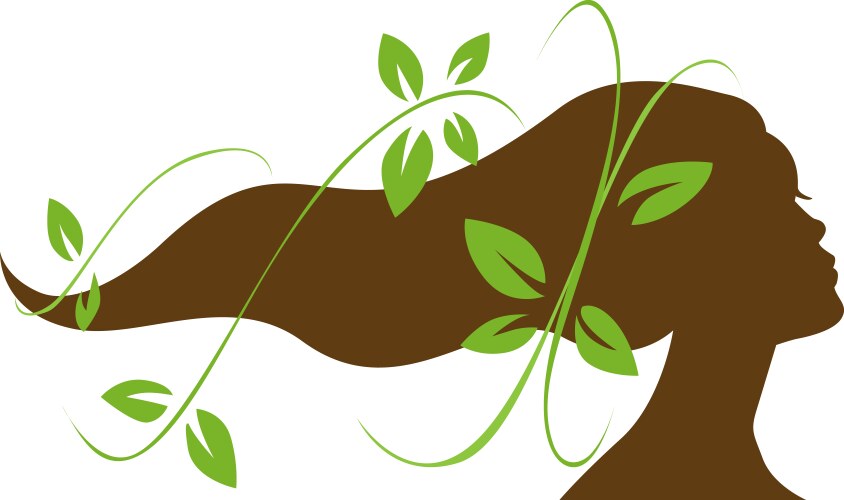 Curled hair strands Royalty Free Vector Image - VectorStock