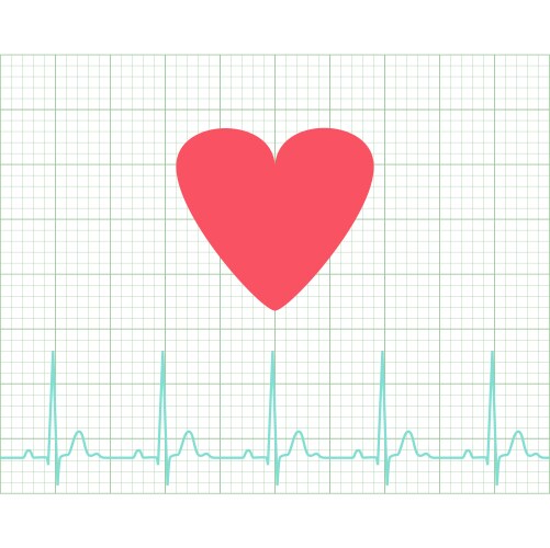 Normal electrocardiogram ecg eps 8 Royalty Free Vector Image
