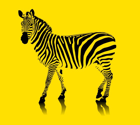 Yellow Zebra Vector Images (over 2,200)