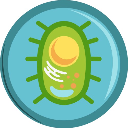 Cell Vector Images (over 430,000)