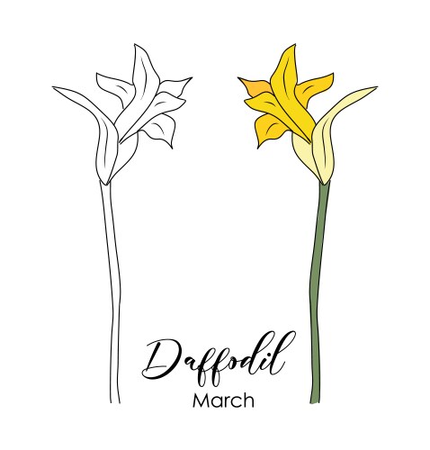 Violet february birth month flower drawing Vector Image