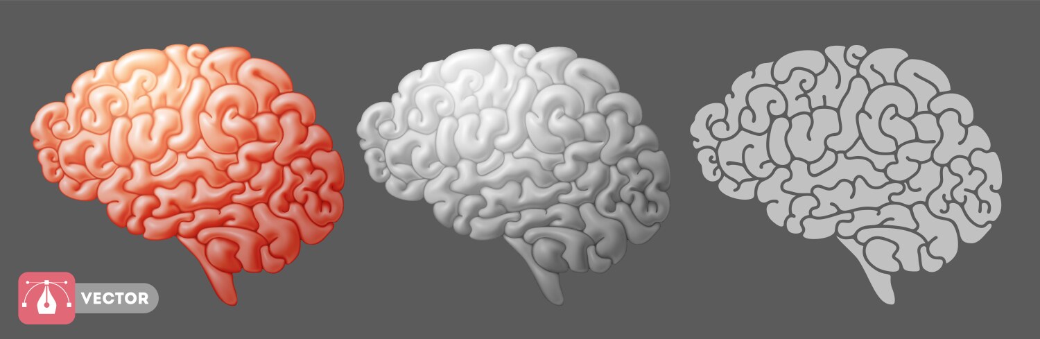 3d multicolor brain with vibrant sections Vector Image