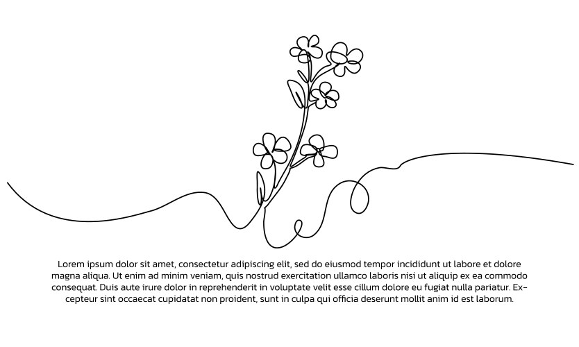 One line withered flower poster drawing Royalty Free Vector