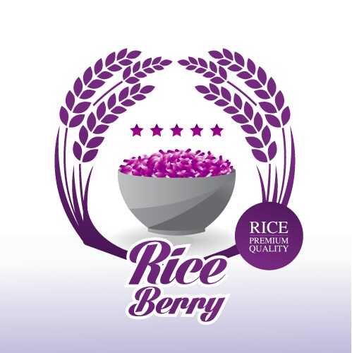 Rice2 Royalty Free Vector Image - VectorStock