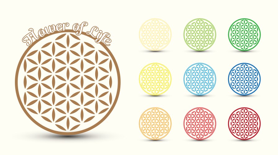 Flower of life seed ornamental Royalty Free Vector Image