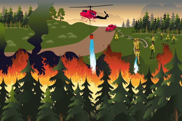 Woodland eco banner fire in forest wildfire Vector Image