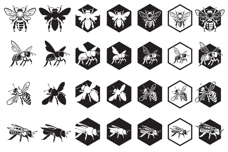 Bees on honey cells Royalty Free Vector Image - VectorStock