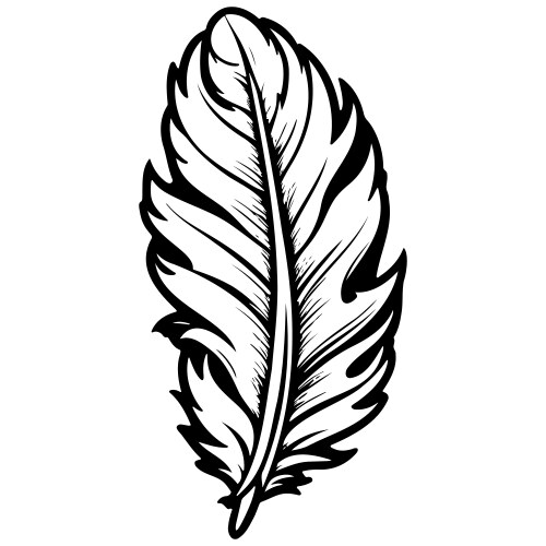 Sketches feather drawing outline cartoon line Vector Image