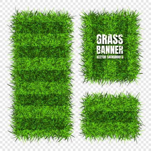 Green grass banners background field meadow Vector Image