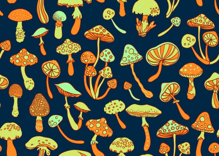 Magic mushrooms psychedelic hallucination Vector Image
