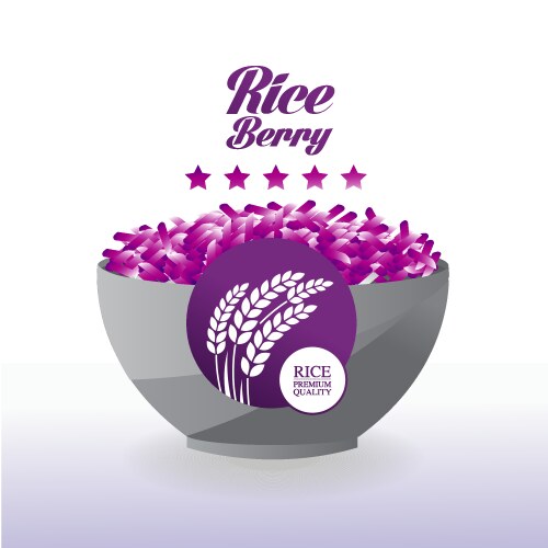 Rice2 Royalty Free Vector Image - VectorStock