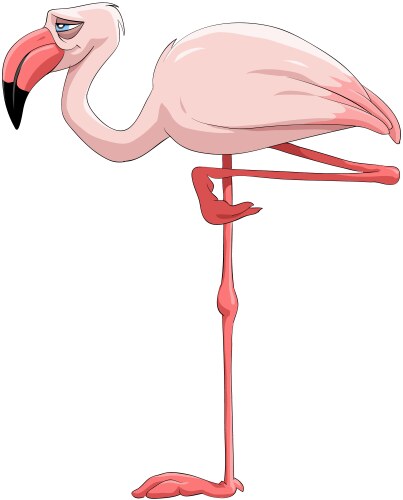 Flamingo Vector Images (over 32,000)
