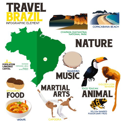 Brazil for travelers infographic flat poster Vector Image