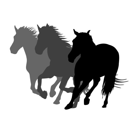 Three horses run gallop from a splash Royalty Free Vector