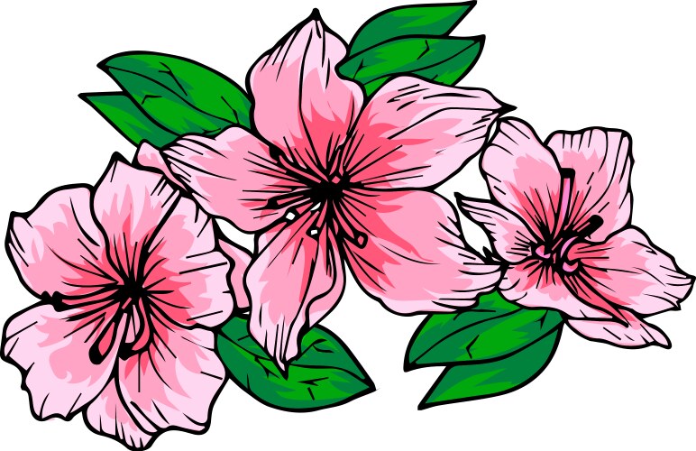Azalea Vector Images (over 770)