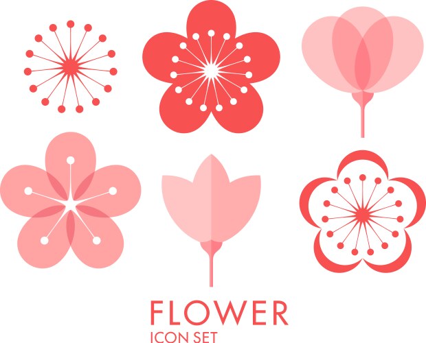 Sakura icon Royalty Free Vector Image - VectorStock