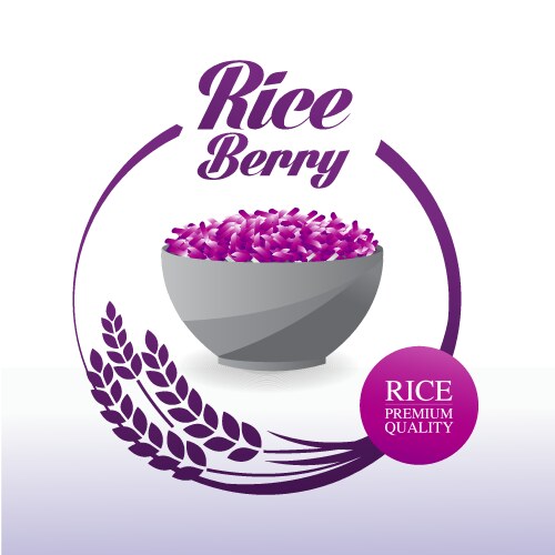 Rice2 Royalty Free Vector Image - VectorStock