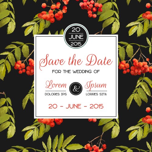 Congratulation Vector Images (over 380,000)