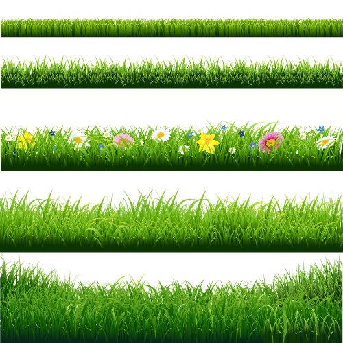Grass borders big set Royalty Free Vector Image