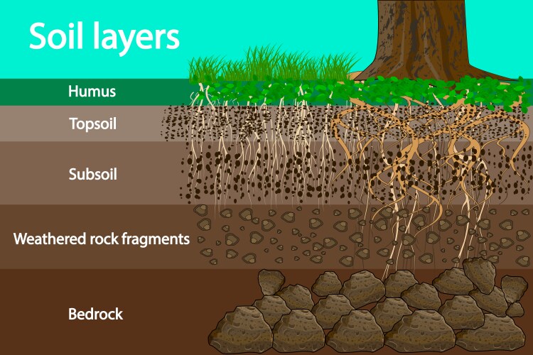 Soil Vector Images (over 85,000)