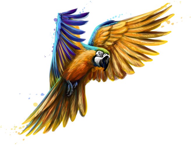 Flight Vector Images (over 340,000)