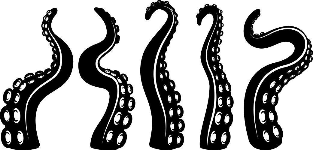 Set octopus squid tentacles in engraving style Vector Image