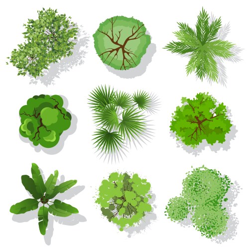 Garden Top View Vector Images (over 4,600)