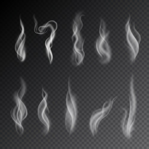 Isolated realistic cigarette smoke waves eps 10 Vector Image