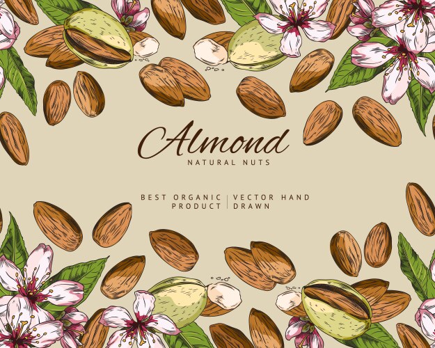 Nutrition Border Vector Images (over 3,000)