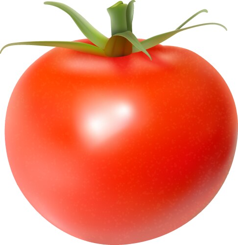 Tomato Vector Images (over 130,000)