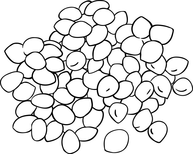 Sesame seeds isolated outline Royalty Free Vector Image