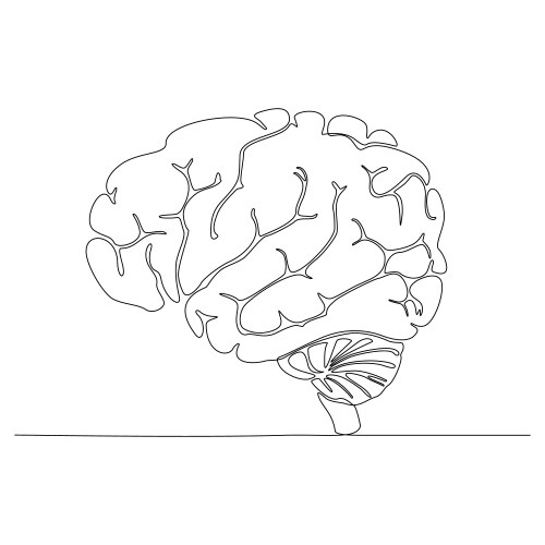 Structure of human brain section schematic Vector Image