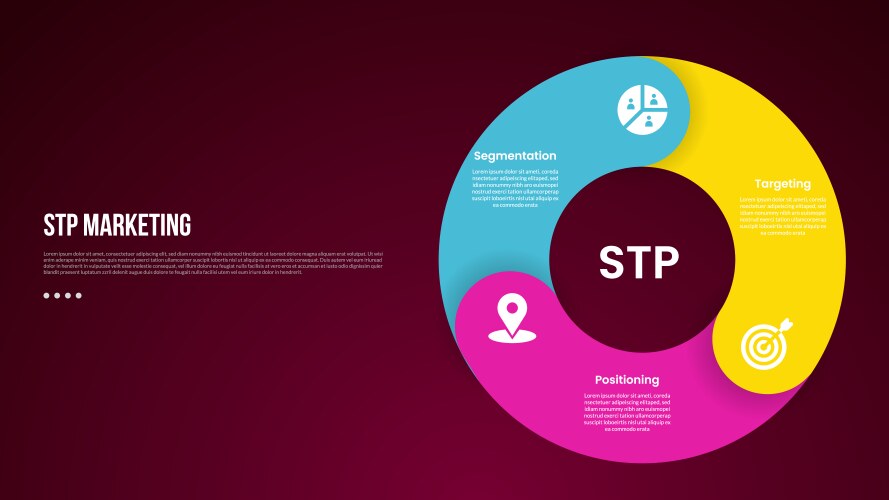 STP Marketing Infographic Template – Royalty-Free Vector | VectorStock