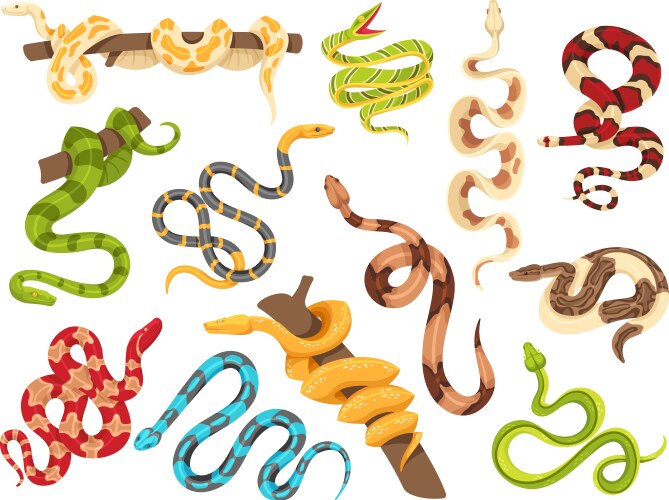 Viper Vector Images (over 12,000)