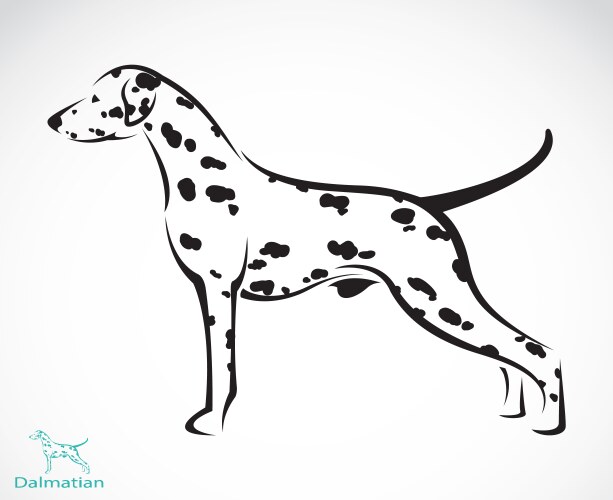 Baby dalmatian dog breed Royalty Free Vector Image