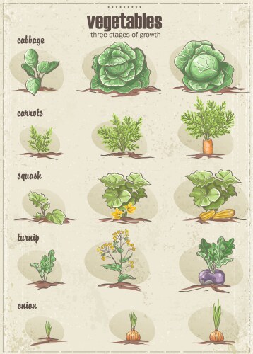 Three Stages Vector Images (over 9,200)