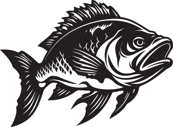 Group of Fish Vector Images (over 9,100)