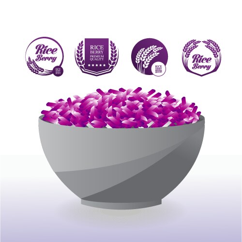 Rice2 Royalty Free Vector Image - VectorStock