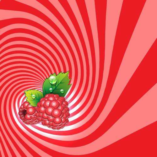 Raspberry Wallpaper Vector Images (over 2,700)