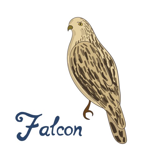 Falcon Vector Images (over 32,000)