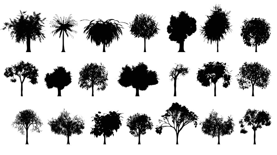 Tree Royalty Free Vector Image - VectorStock