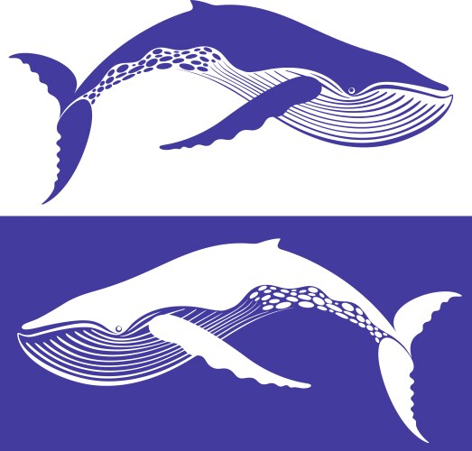 Whale Vector Images (over 37,000)