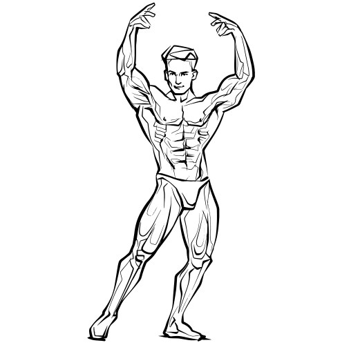 Bodybuilder flexing muscle pose Royalty Free Vector Image
