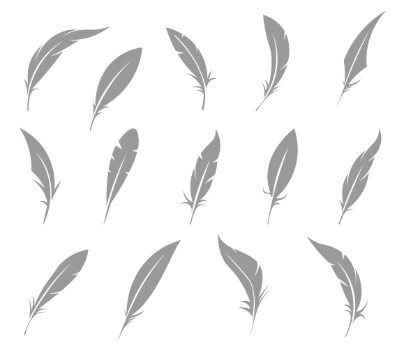 Feather Vector Images (over 290,000)