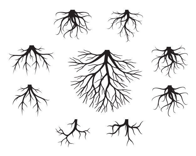 Set black tree roots Royalty Free Vector Image
