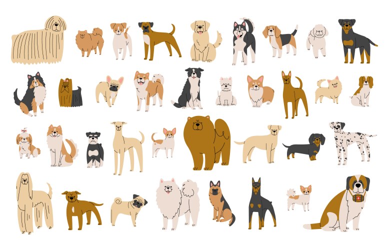 Dogs collection 2 Royalty Free Vector Image - VectorStock