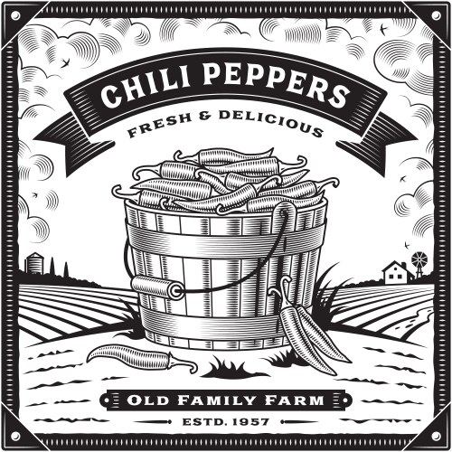 Chili Banner Vector Images (over 4,100)