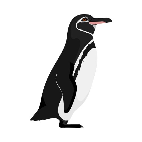Penguin Side View Vector Images (78)
