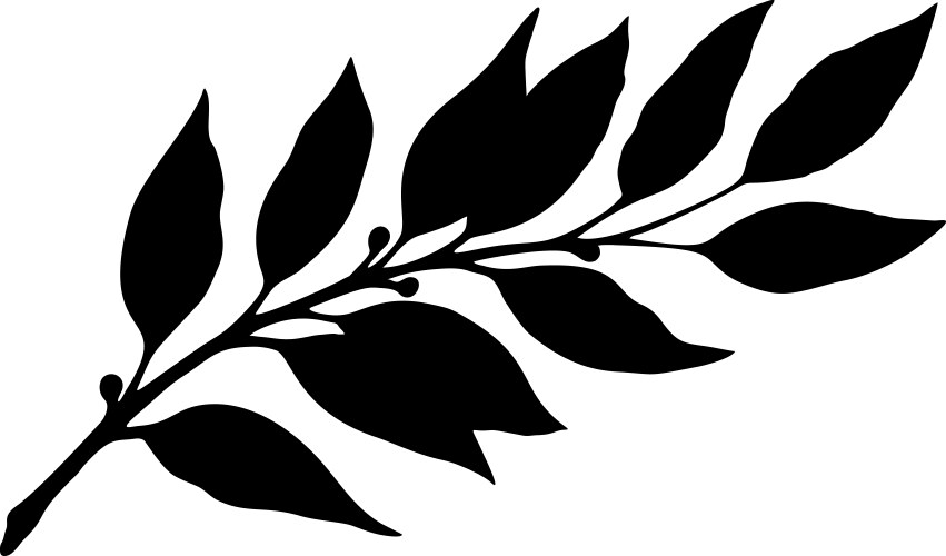Laurel branch sketch Royalty Free Vector Image